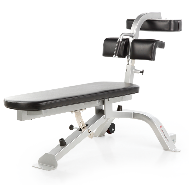 FitnessZone: FreeMotion EPIC Abdominal Bench EF213